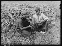 Soul of a People Digital Exhibit